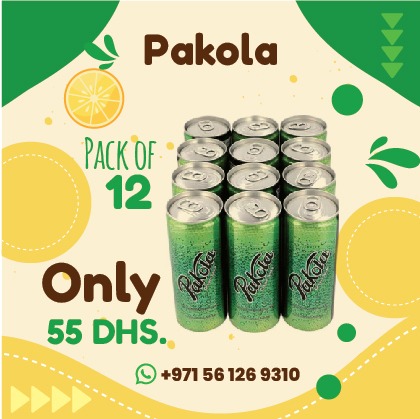 Pakola Ice Cream Soda Soft Drink Can 250ml - Pack of 12 - K. Mir ...